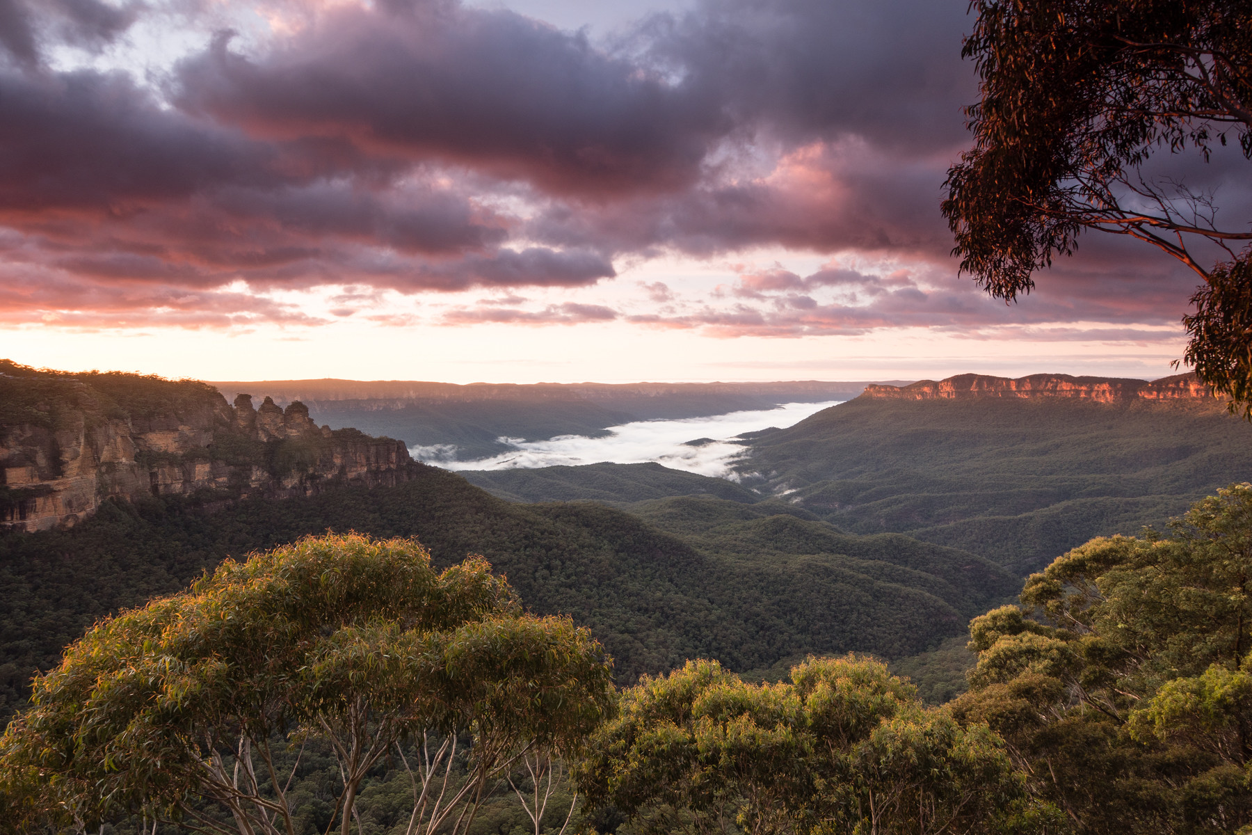 Paul Chantler Photography Jamison Valley Blue Mountains National Park